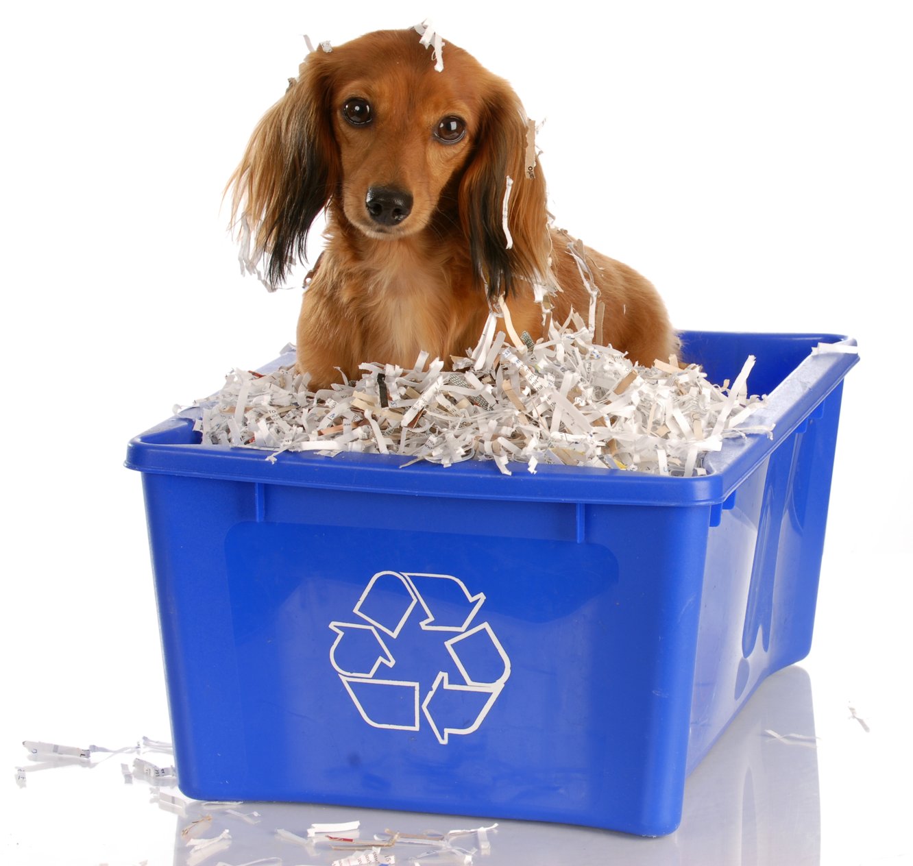 Primepac Recycling Guide